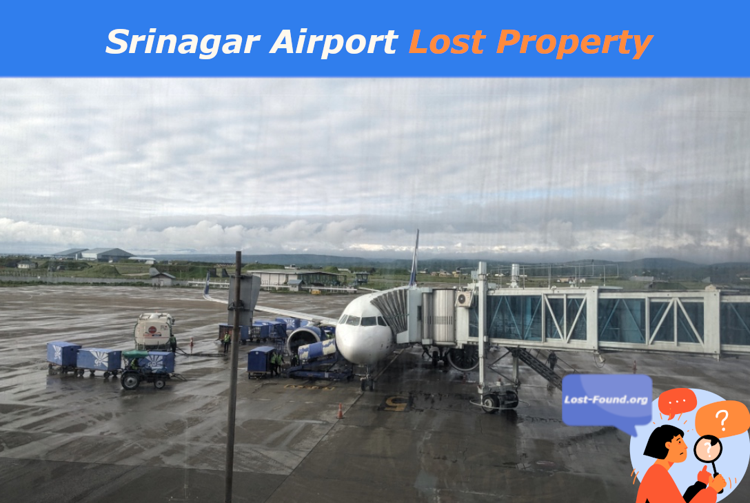 Srinagar International Airport (SXR) Lost and Found | Report a lost item